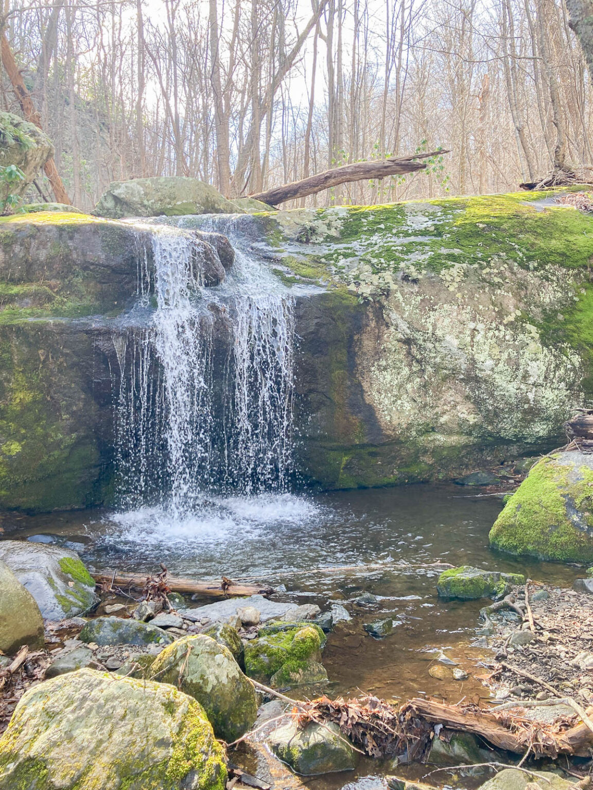 Apple Orchard Falls: A gorgeous waterfall hike on the Blue Ridge Parkway