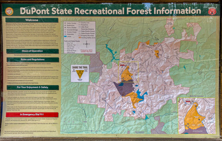 Triple Falls and High Falls: DuPont State Forest's Best Waterfall Hike