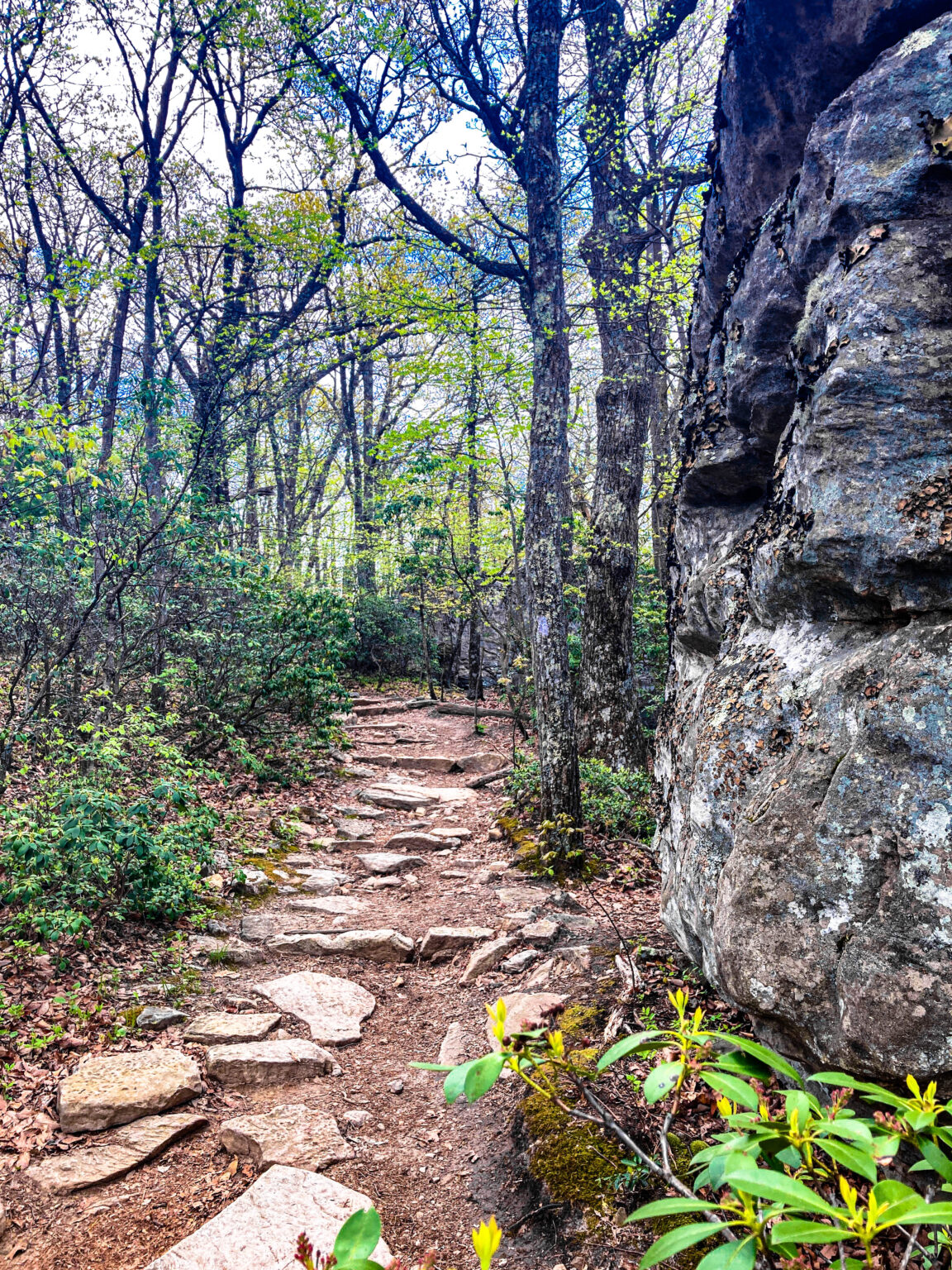 McAfee Knob: One of the Best Day Hikes on the Appalachian Trail ...