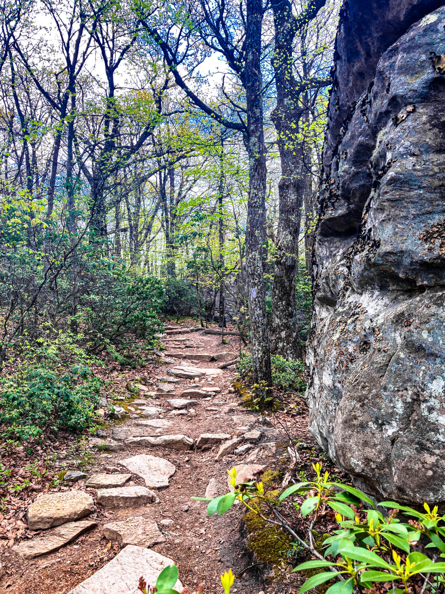 McAfee Knob: One of the Best Day Hikes on the Appalachian Trail ...