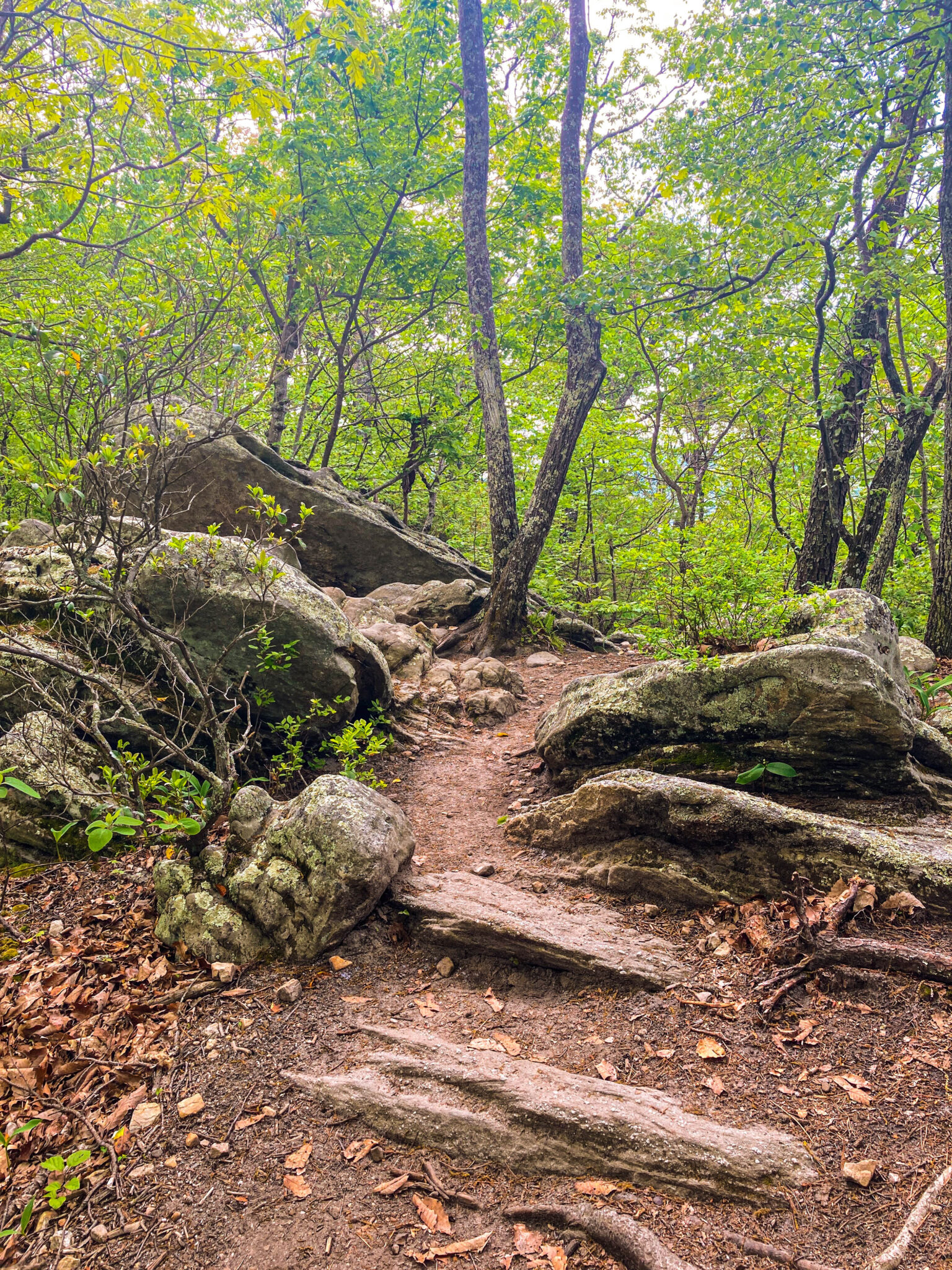 McAfee Knob: One of the Best Day Hikes on the Appalachian Trail ...