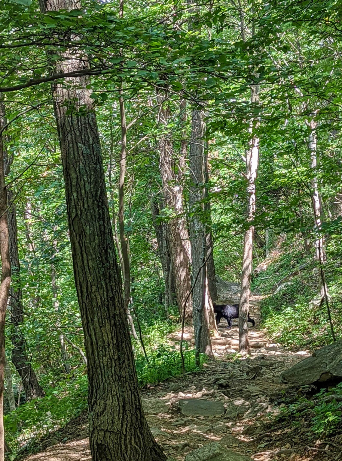 Sharp Top: An Iconic Hike to Epic 360 Degree Views