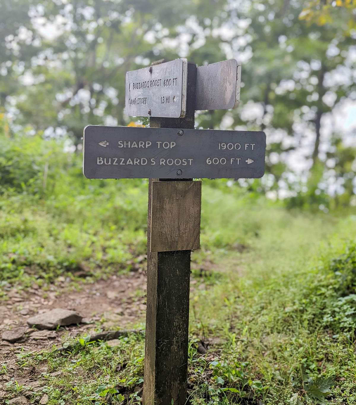 Sharp Top: An Iconic Hike to Epic 360 Degree Views
