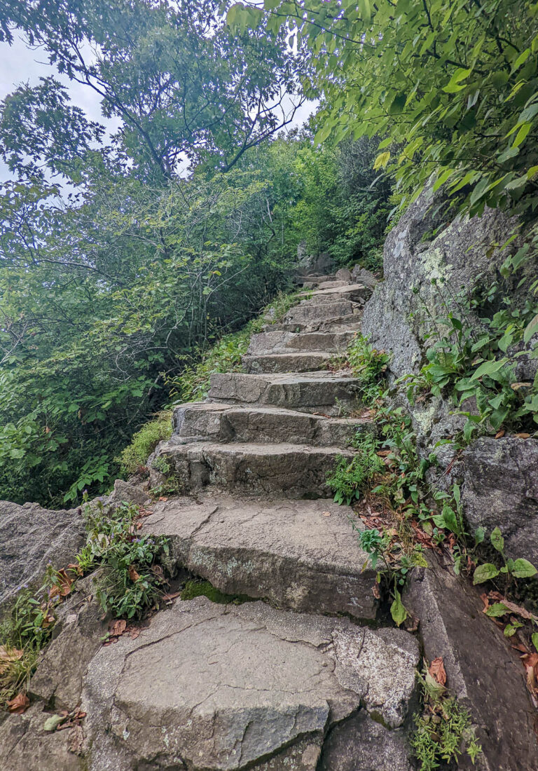 Sharp Top: An Iconic Hike to Epic 360 Degree Views
