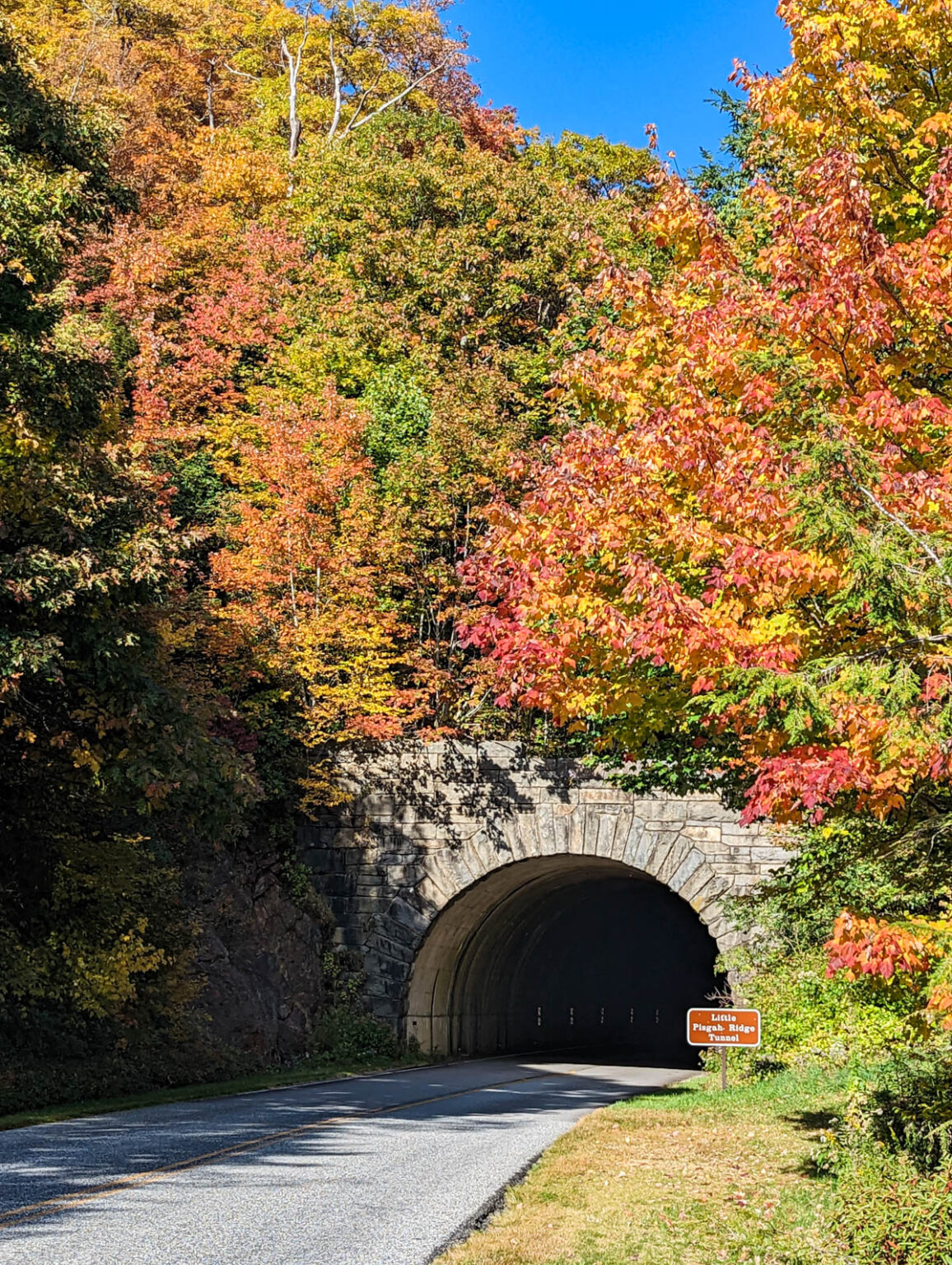 When and Where to See the Best Fall Colors in The Blue Ridge Mountains ...