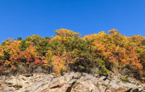 When and Where to See the Best Fall Colors in The Blue Ridge Mountains ...