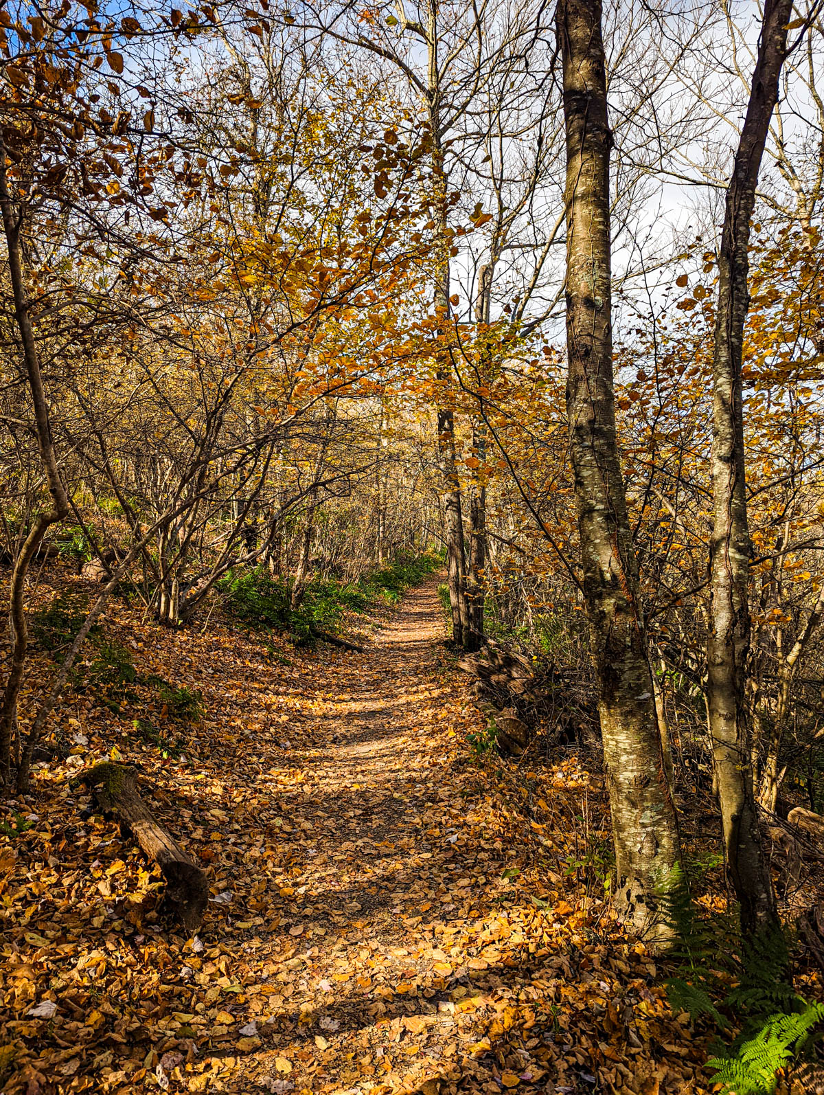 Blackrock Summit: An Easy Hike With a Big Payoff