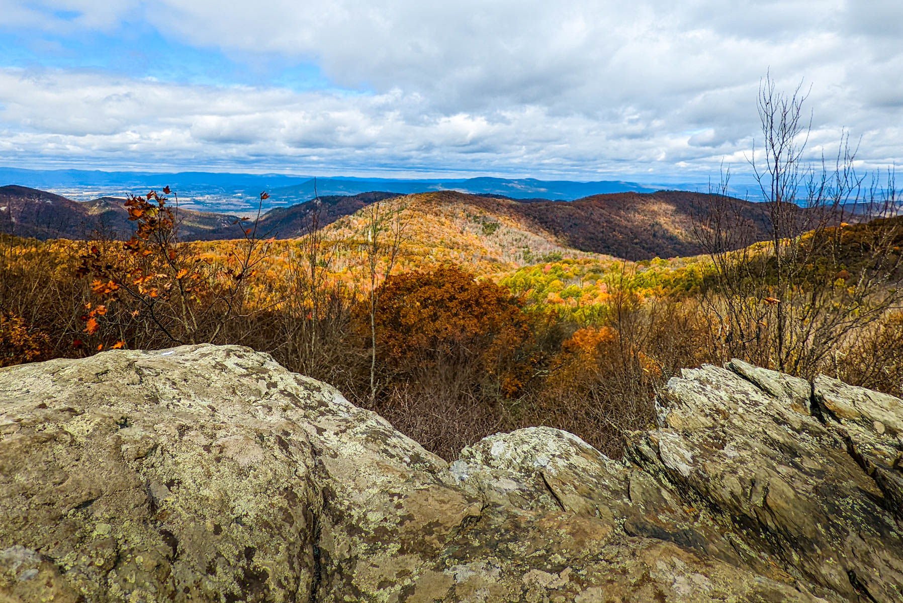 Frazier Discovery Trail: The Great Views Most People Miss in Shenandoah