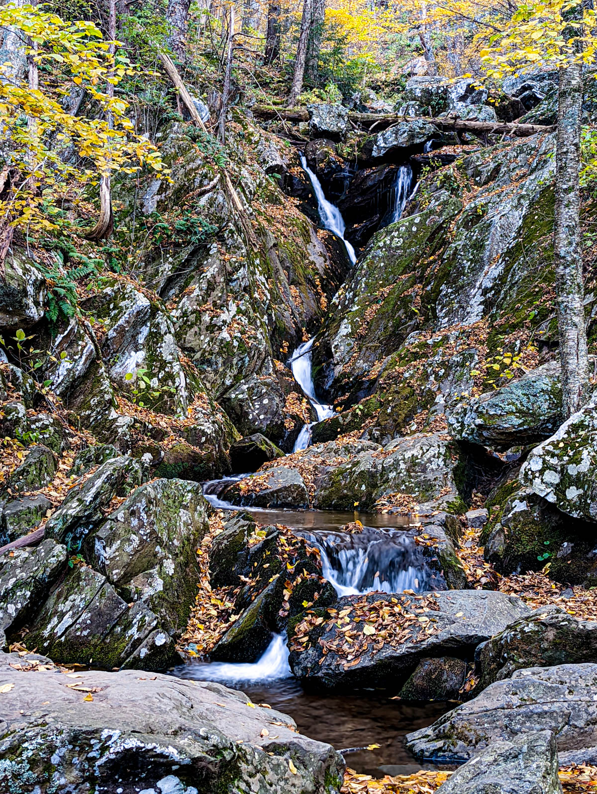 Dark Hollow Falls: The One Waterfall You Can't Miss In Shenandoah ...