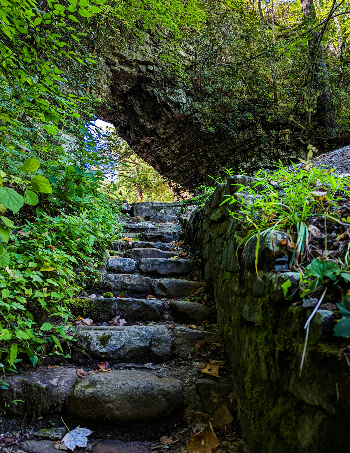 The complete guide to Backbone Rock so you don't miss a thing - Blue ...