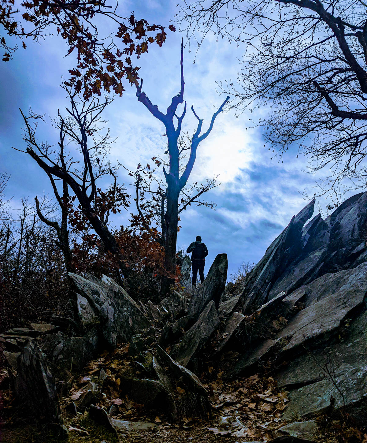 Best Winter hikes in Virginia's Blue Ridge - Blue Ridge Awaits