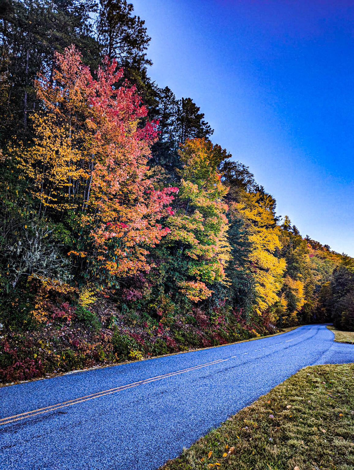 The Blue Ridge Parkway - Blue Ridge Awaits
