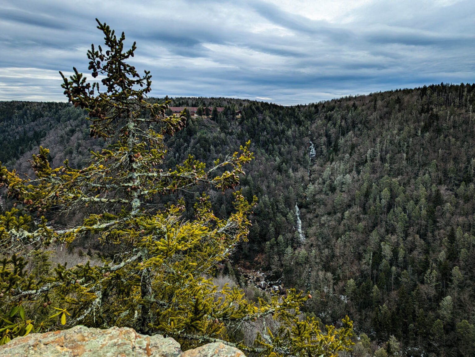 Blackwater Falls State Park: The exciting sledding adventure you need ...