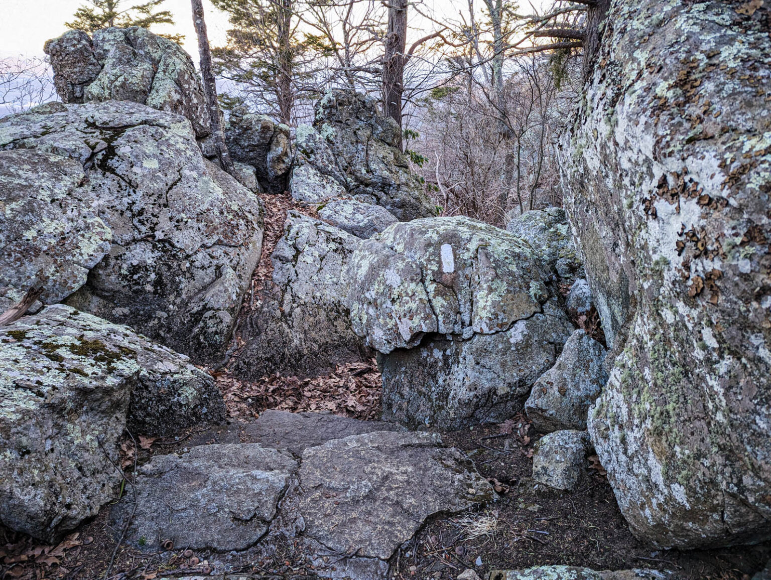 Thunder Ridge Overlook: A quick stop with a huge beautiful view