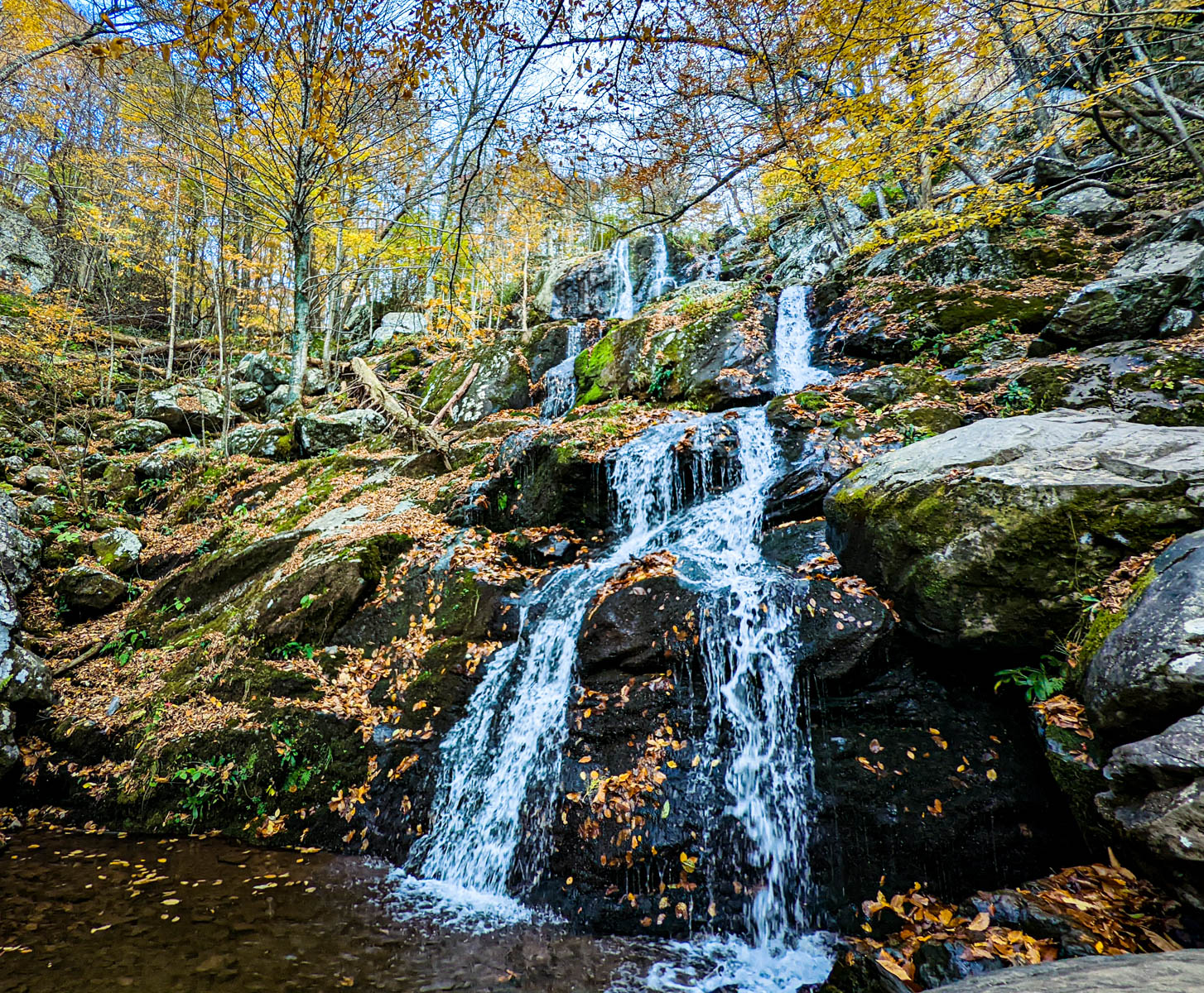 The 25 best Virginia waterfalls every nature lover needs to see