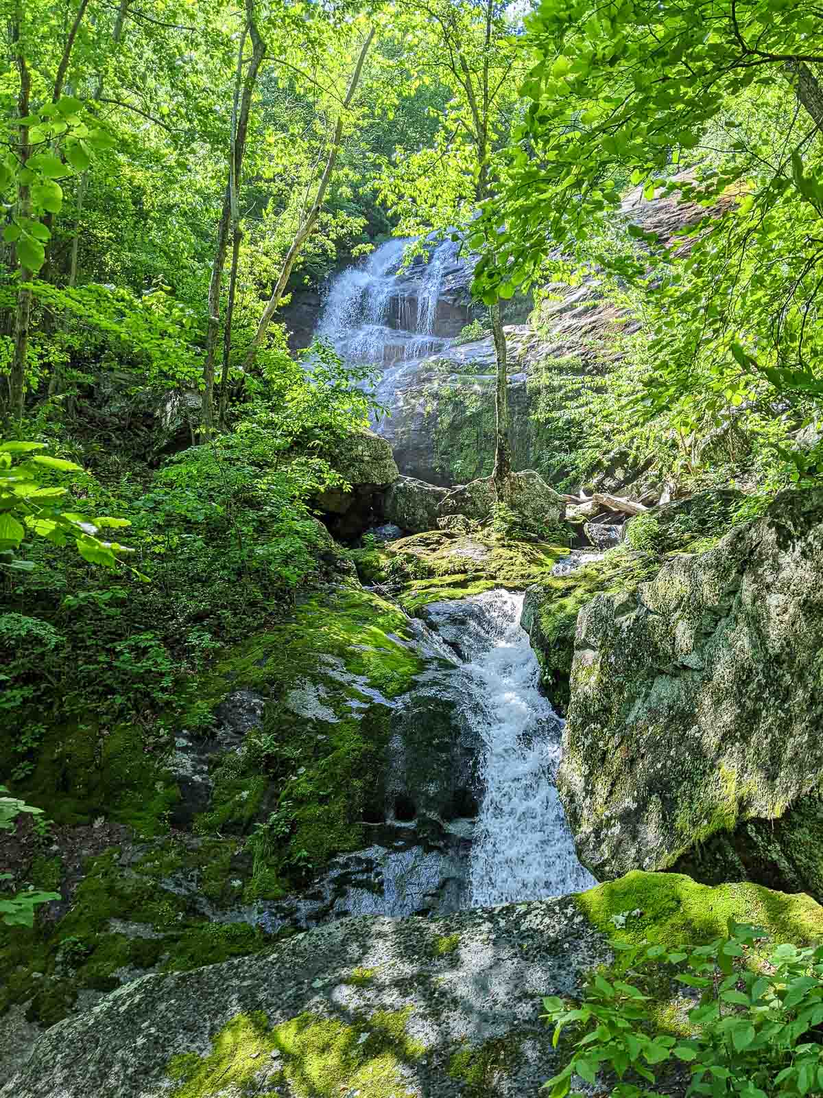 The 25 best Virginia waterfalls every nature lover needs to see