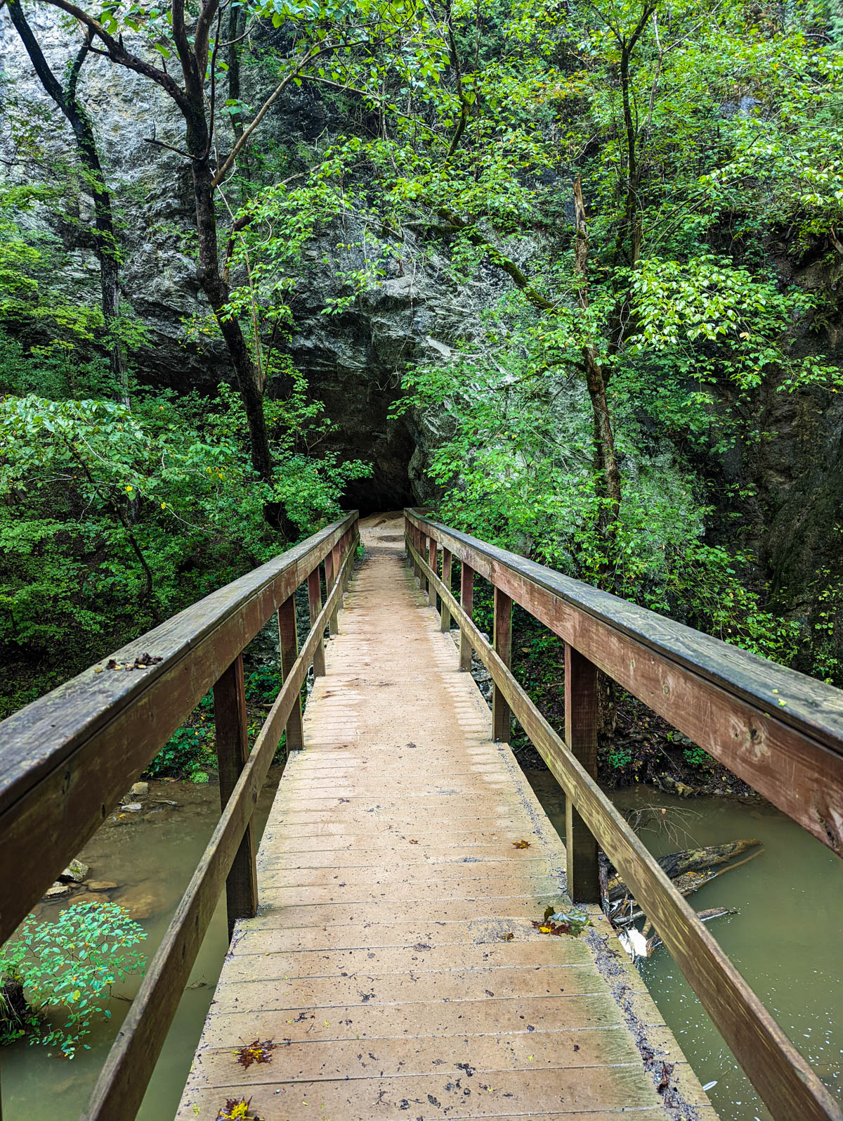 Natural Bridge's Lace Falls: 5 amazing things on the Cedar Creek Trail