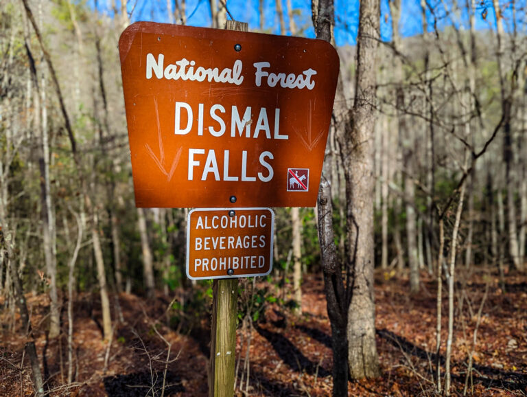 Falls of Dismal: An awesome hidden good time