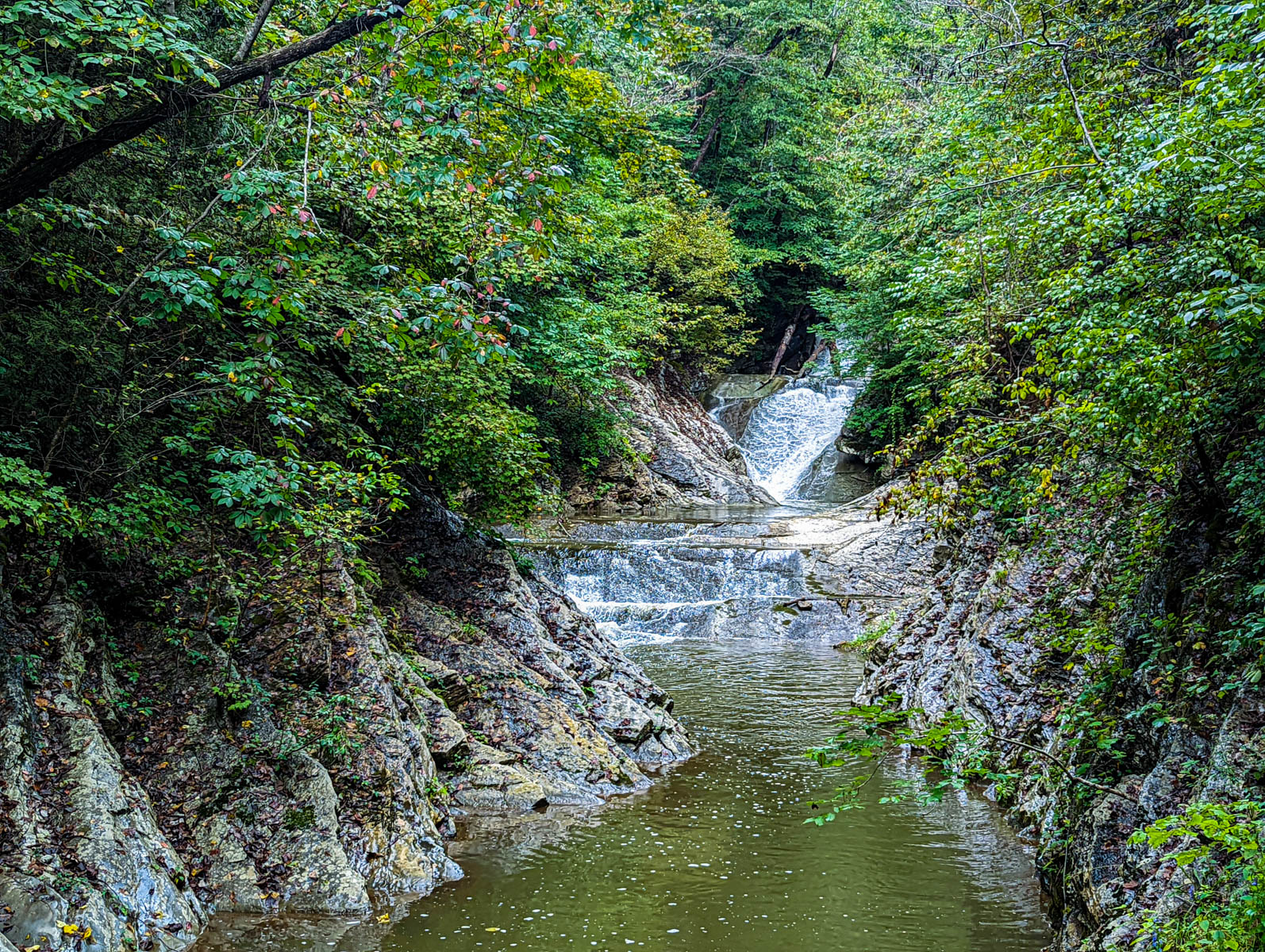 Natural Bridge's Lace Falls: 5 amazing things on the Cedar Creek Trail
