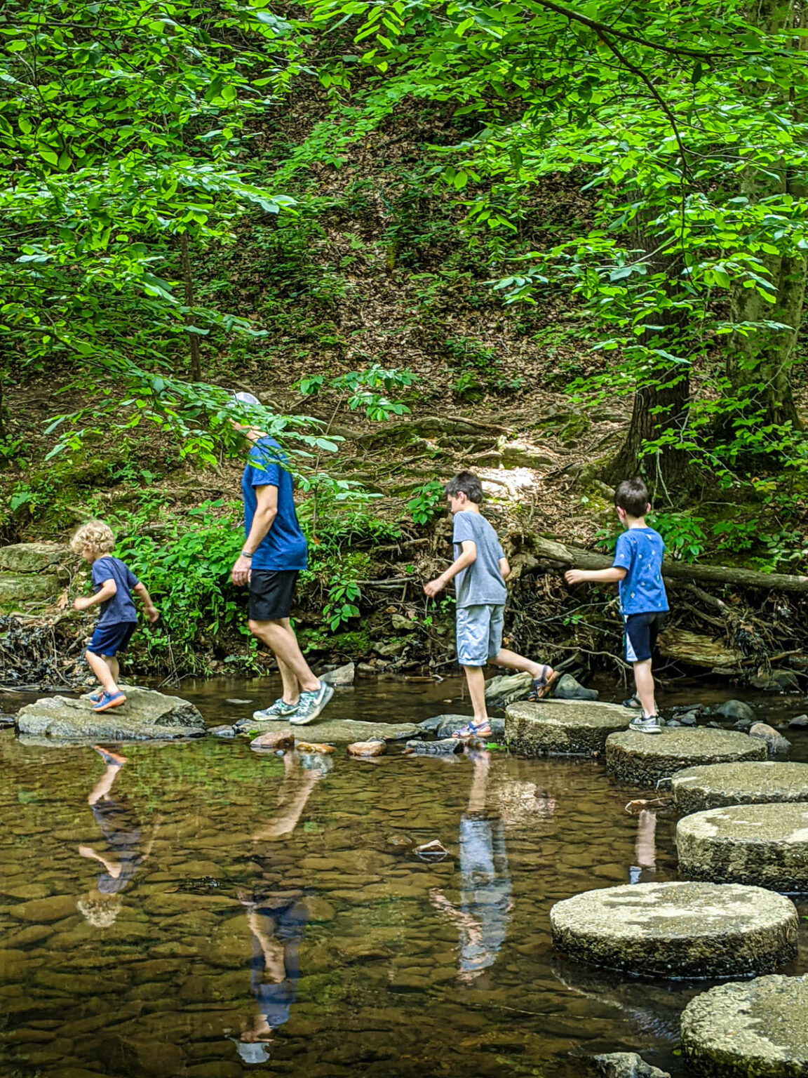 25 Hikes on the Blue Ridge Parkway that you'll absolutely love - Blue ...