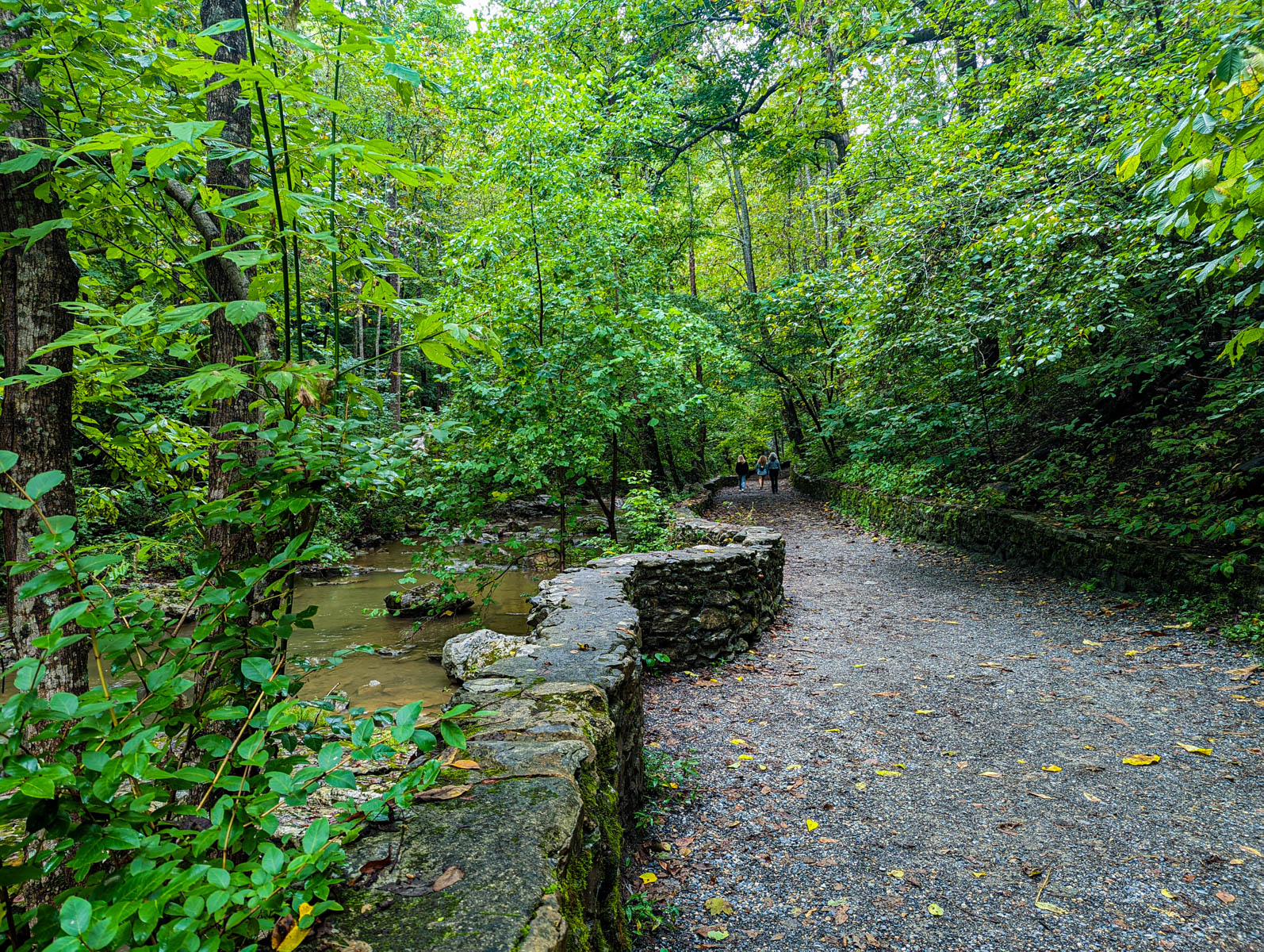 Natural Bridge's Lace Falls: 5 amazing things on the Cedar Creek Trail