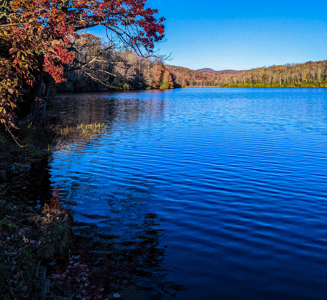25 Hikes on the Blue Ridge Parkway that you'll absolutely love - Blue ...