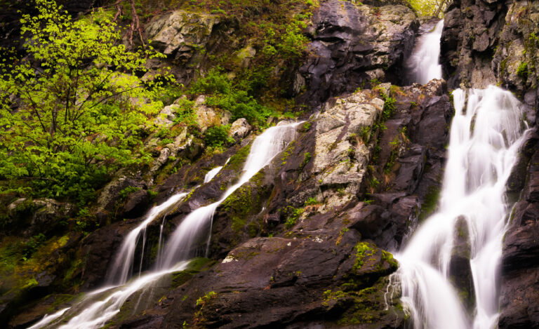 The 25 best Virginia waterfalls every nature lover needs to see
