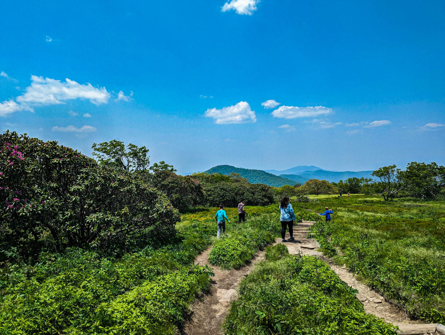 25 Hikes on the Blue Ridge Parkway that you'll absolutely love - Blue ...