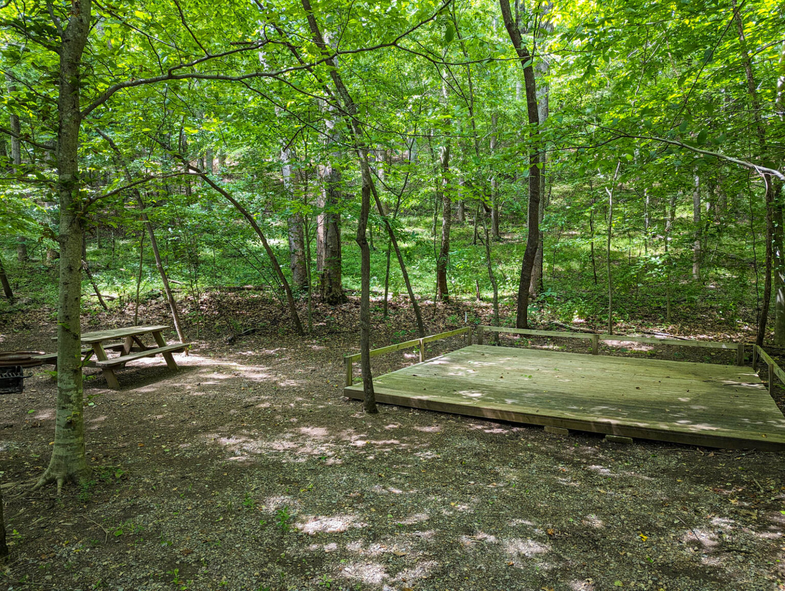 Explore Park: Exciting things to do at this great outdoor spot - Blue ...
