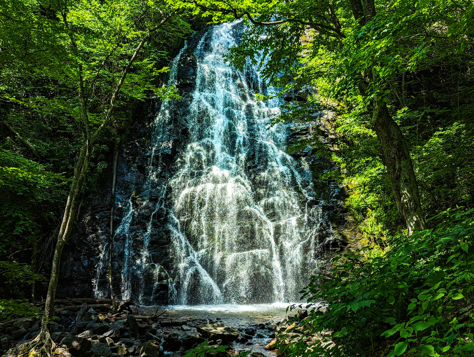 The Best Blue Ridge Parkway Campgrounds for every type of visitor