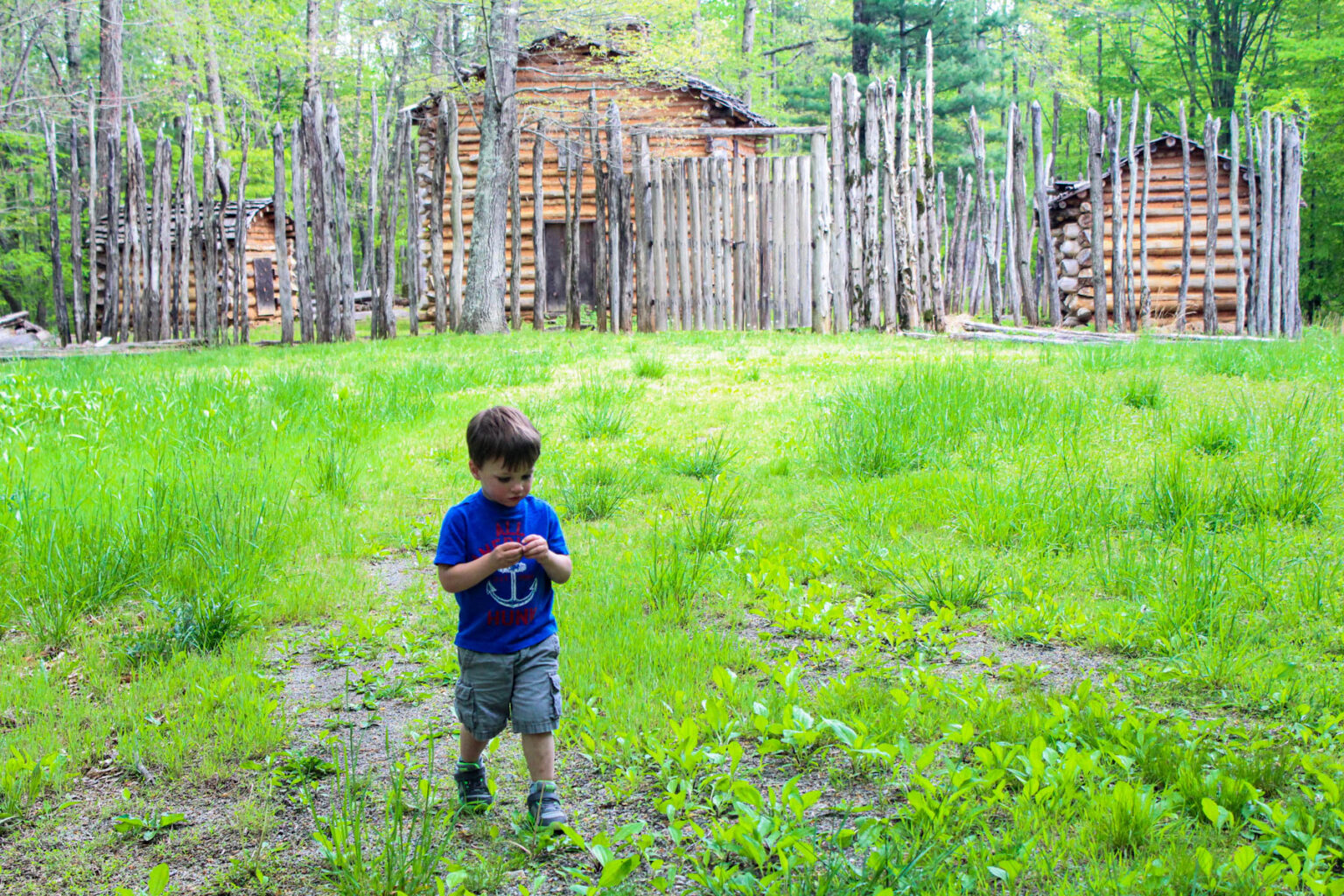 Explore Park: Exciting things to do at this great outdoor spot - Blue ...