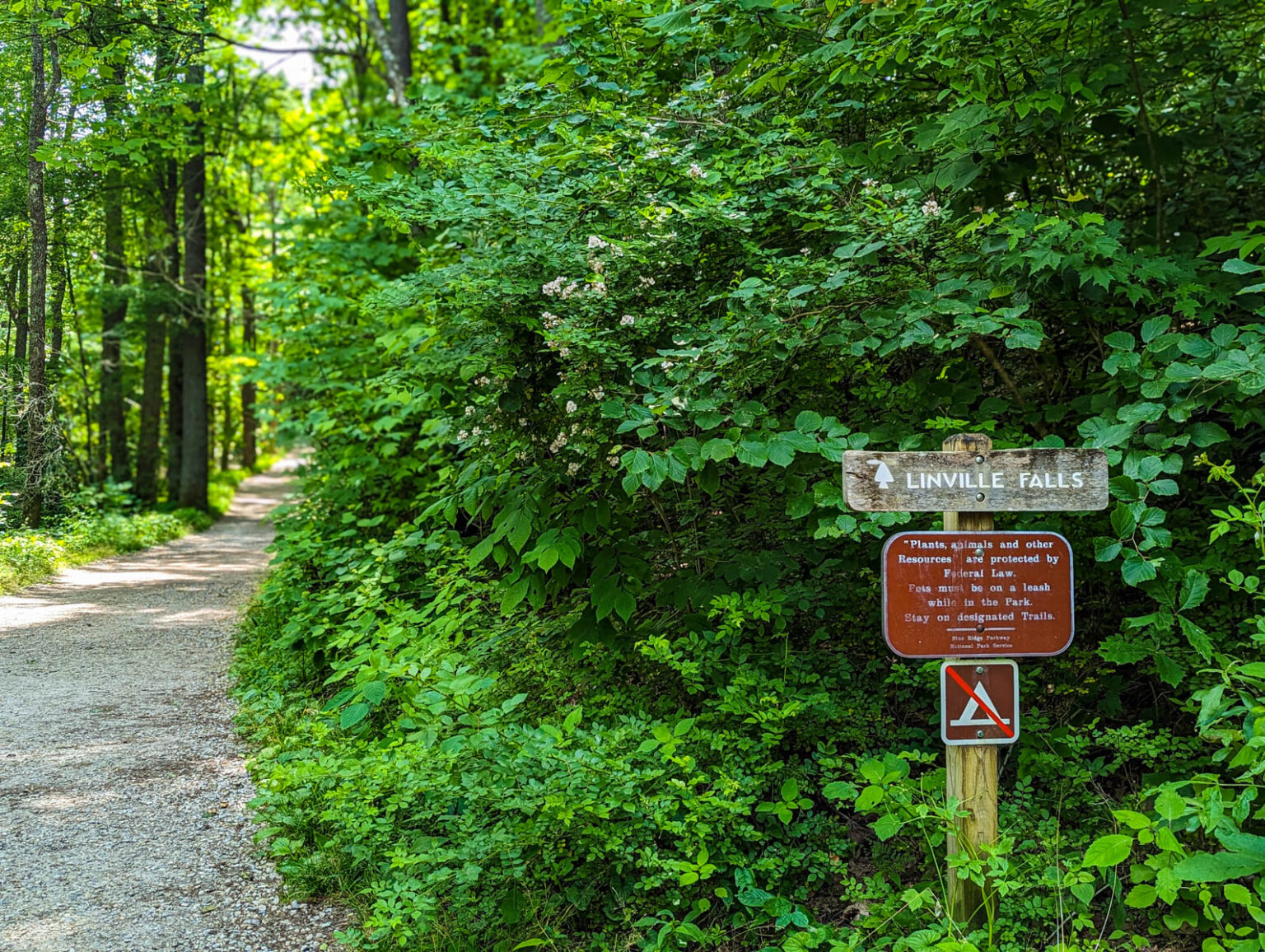5 ways to see and fall in love with Linville Falls