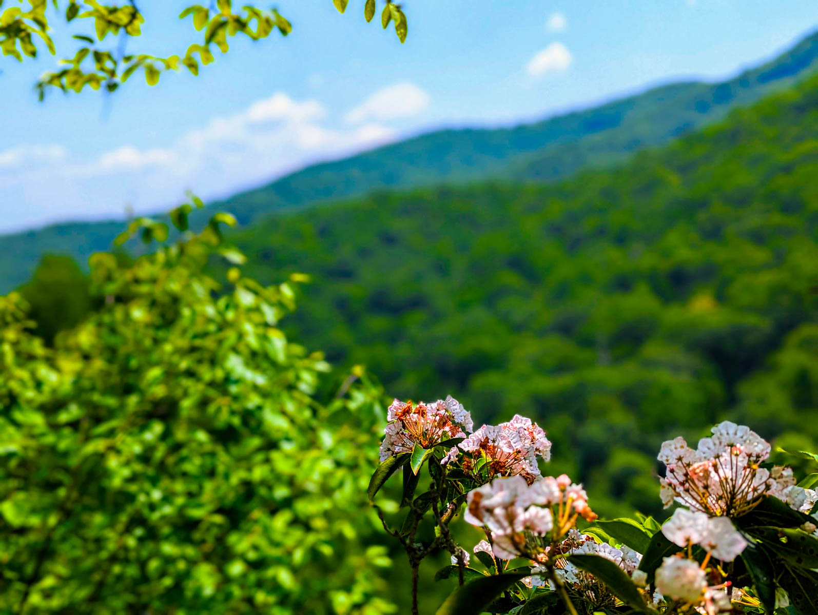 Crabtree Falls, NC: The best waterfall on the Blue Ridge Parkway