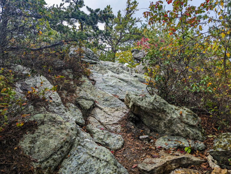 Dragon's Tooth Hike: Everything you Need to Know - Blue Ridge Awaits
