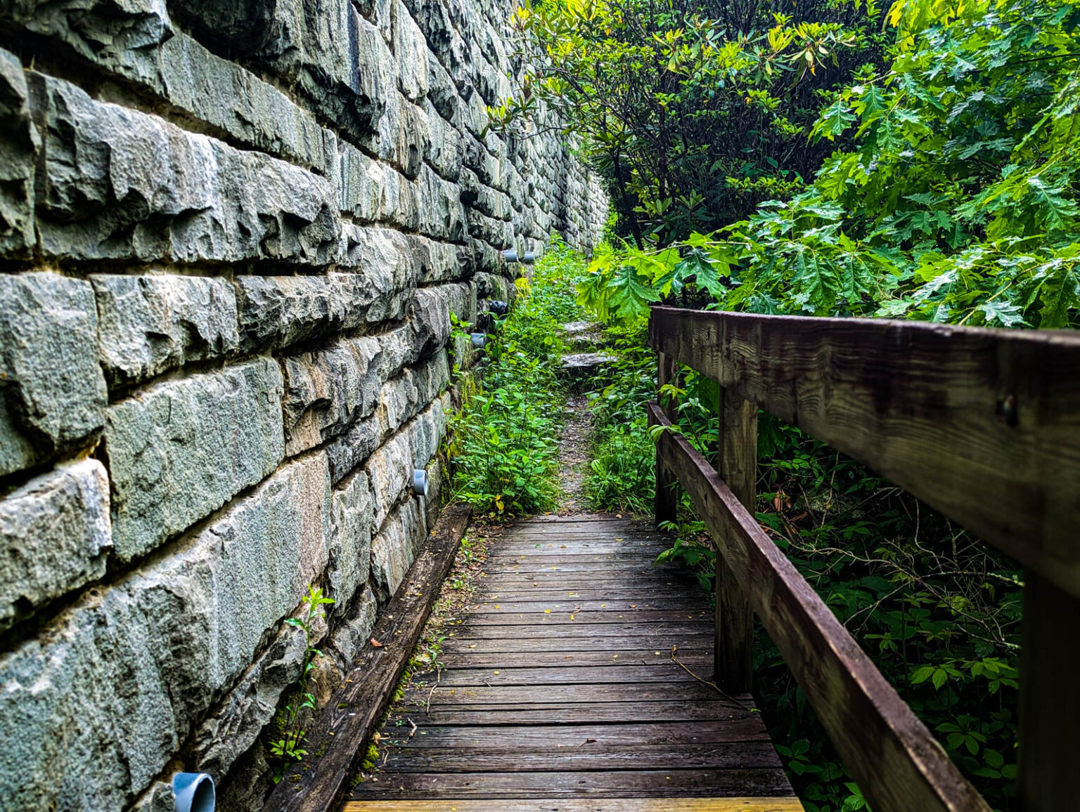 Tanawha Trail: The best trail on the Blue Ridge Parkway