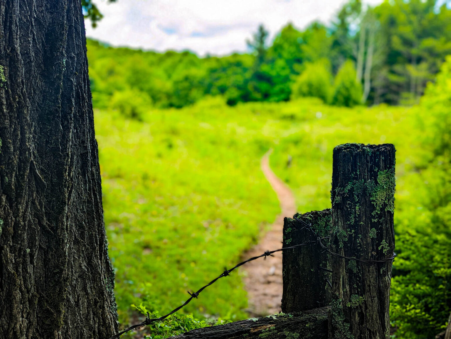 Tanawha Trail: The best trail on the Blue Ridge Parkway