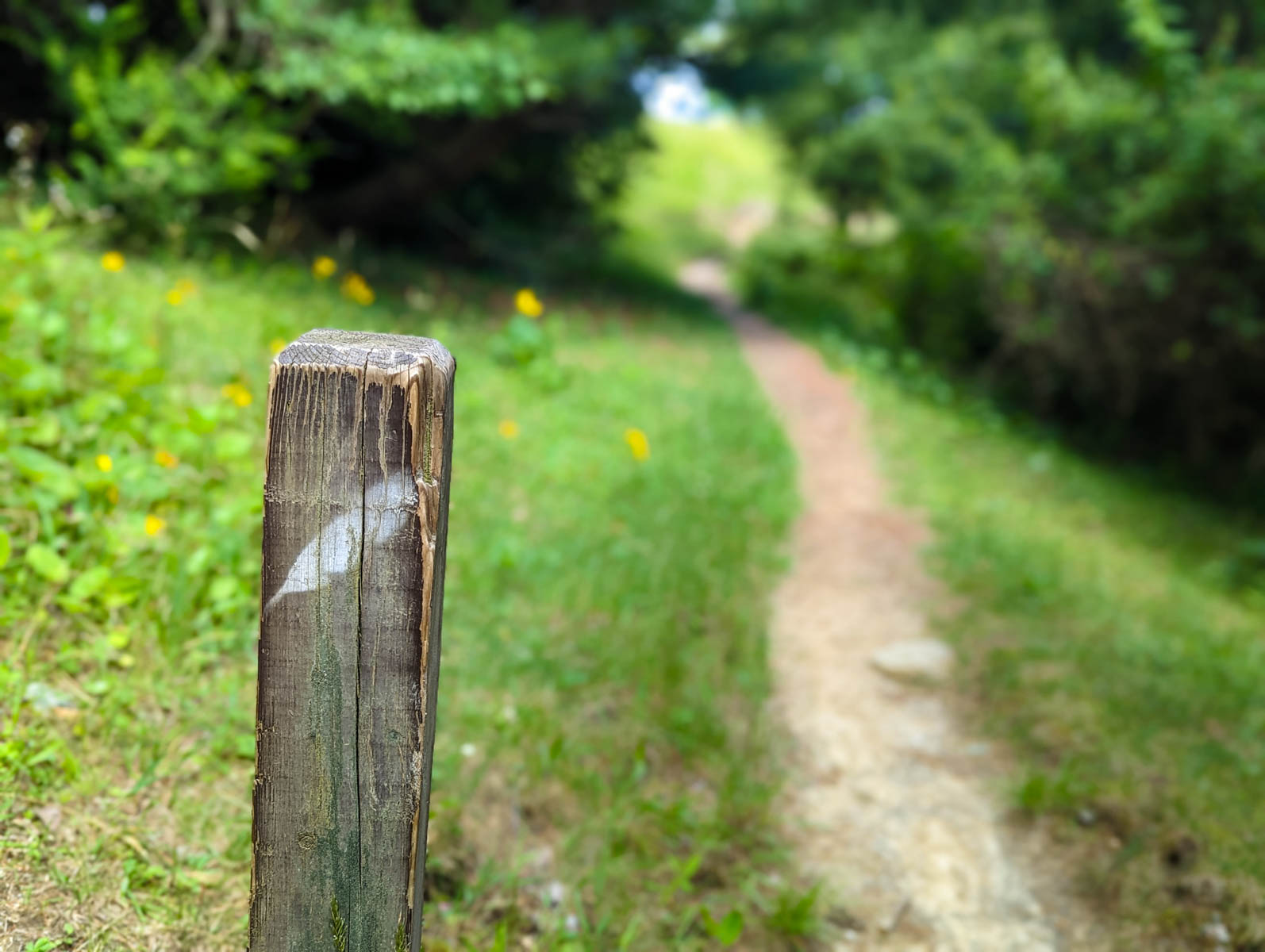 Beacon Heights Hike: The Most Amazing short trail on the Parkway