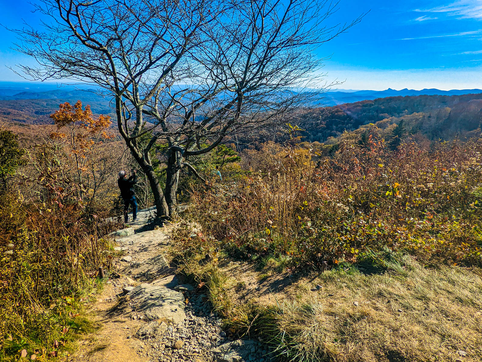 Yonahlossee Overlook: How to get the best photo of the Linn Cove Viaduct