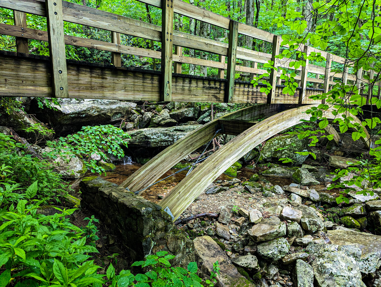 Tanawha Trail: The best trail on the Blue Ridge Parkway