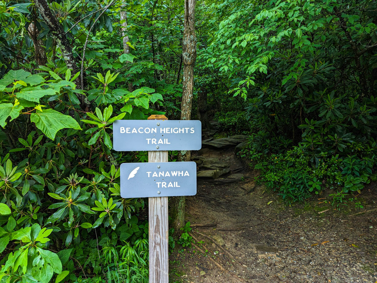 Beacon Heights Hike: The Most Amazing short trail on the Parkway