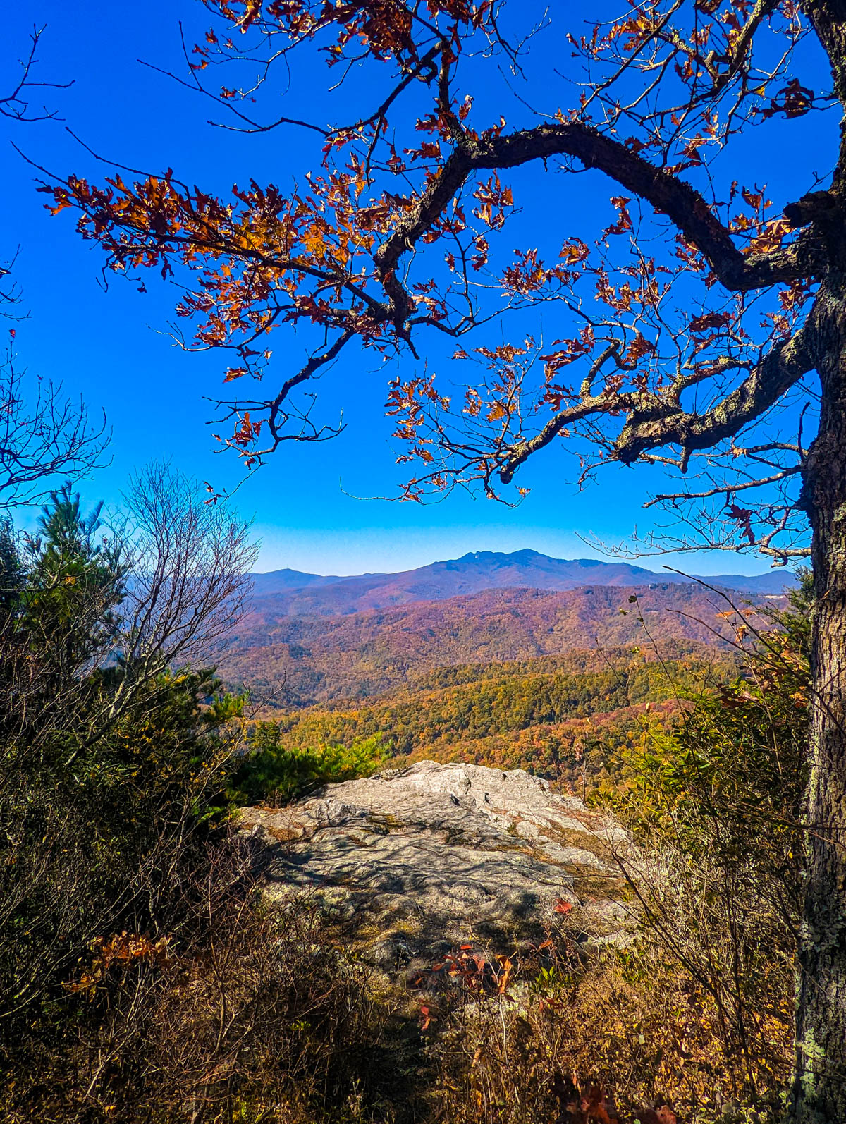 7 Best Overlooks near Blowing Rock North Carolina