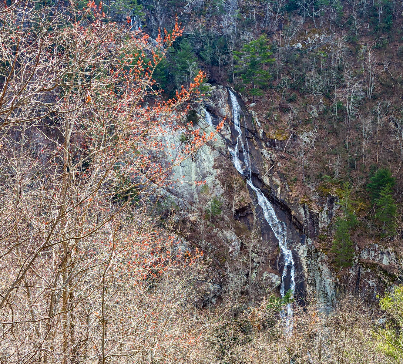 Bottom Creek Gorge: An Undeniably Stunning Waterfall in Virginia
