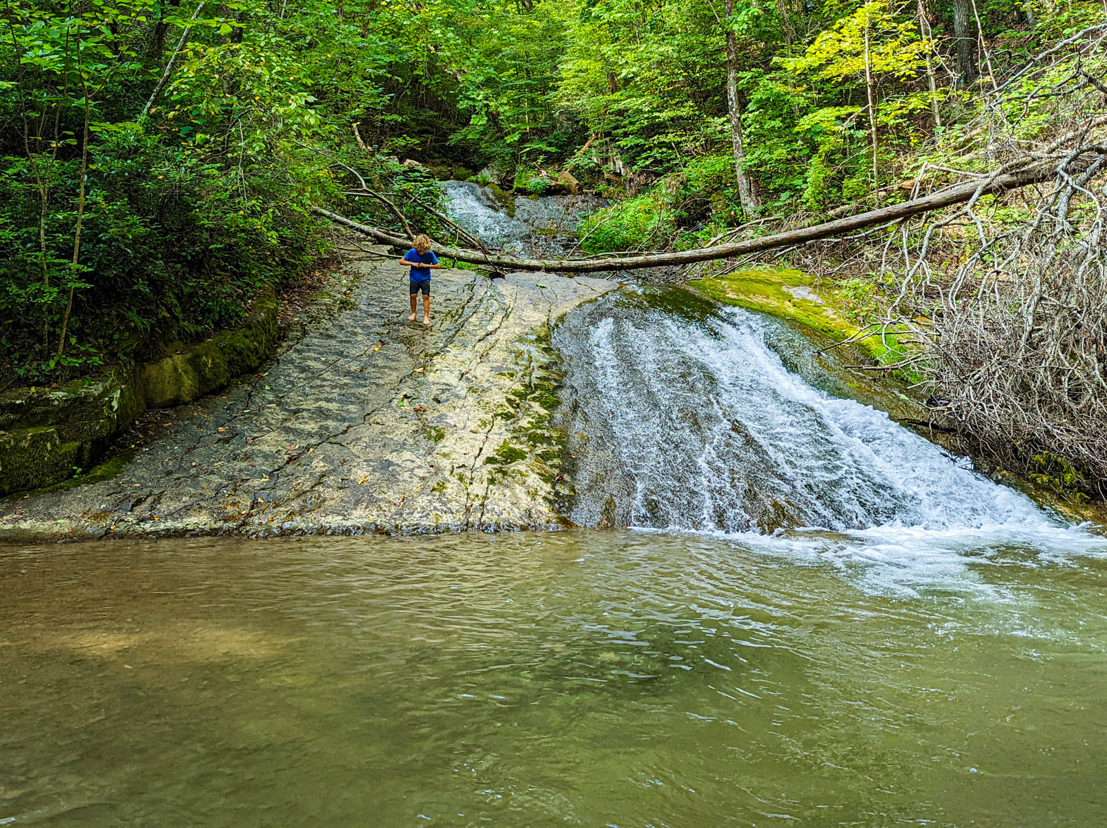 The 15 Best Hikes Near Roanoke, VA