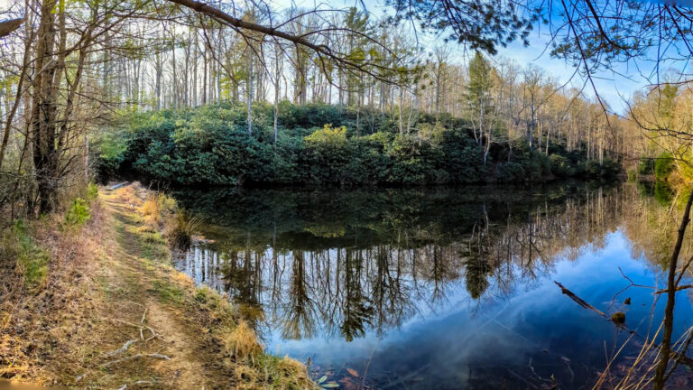 Bottom Creek Gorge: An Undeniably Stunning Waterfall in Virginia